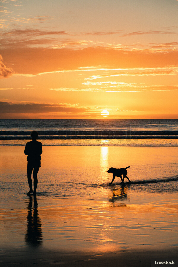 Man and his Dog at a Beach by David Marano - Truestock