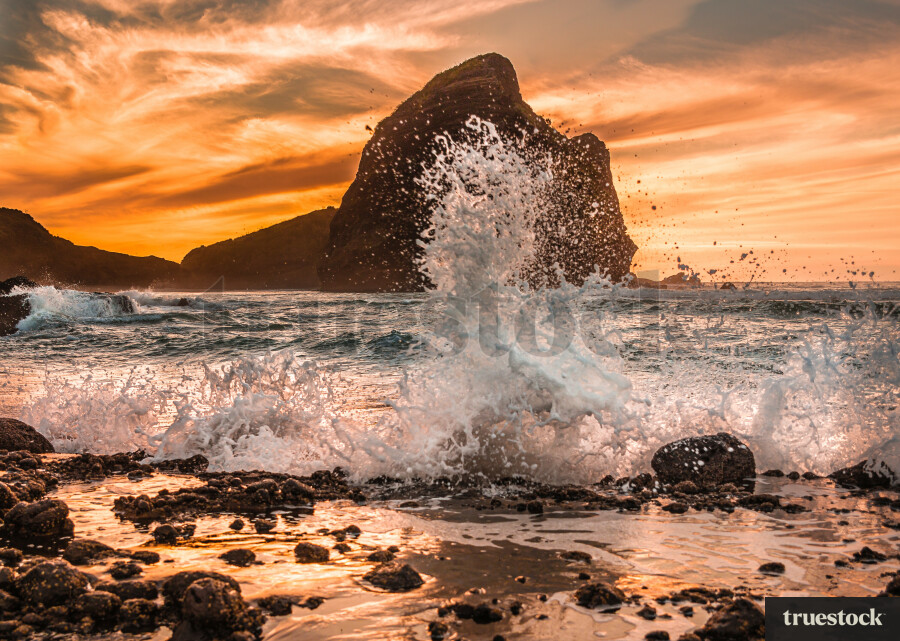Auckland West Coast Beaches by Elton McAleer - Truestock