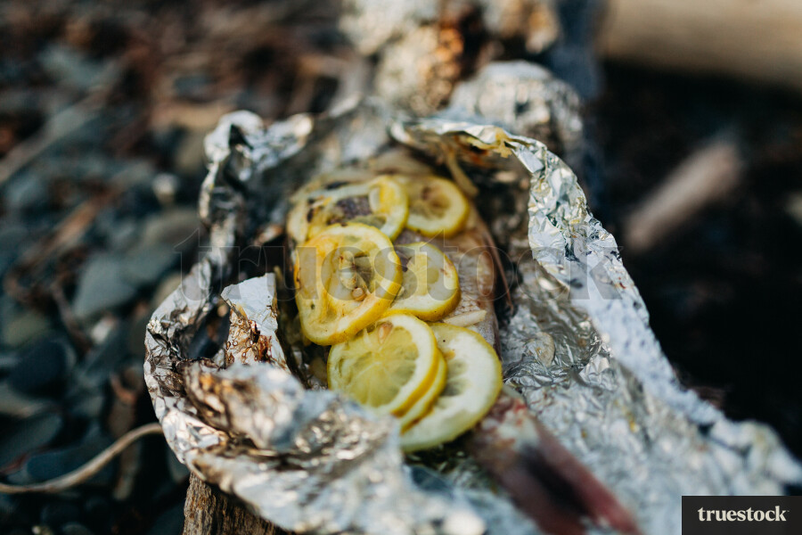 Campfire cooking fish by Erica Sinclair - Truestock