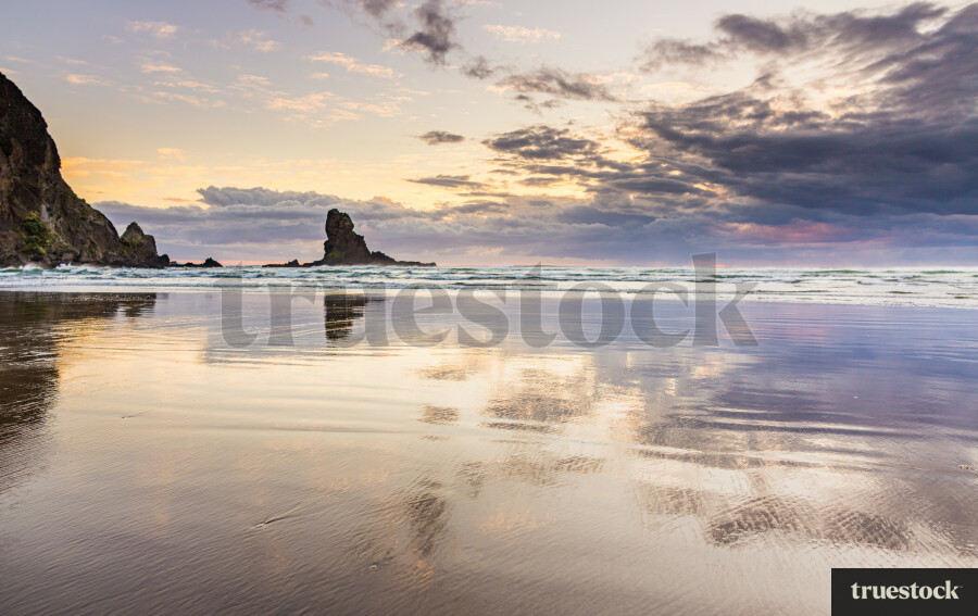 Auckland West Coast Beaches by Elton McAleer - Truestock